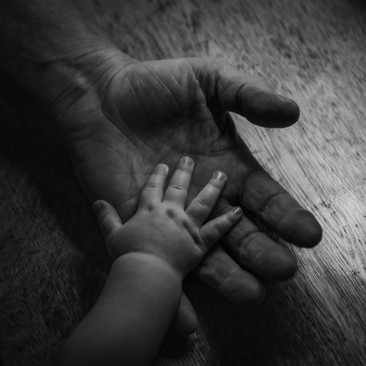 NO APOLOGIES- LIFE [ALBUM REVIEW]